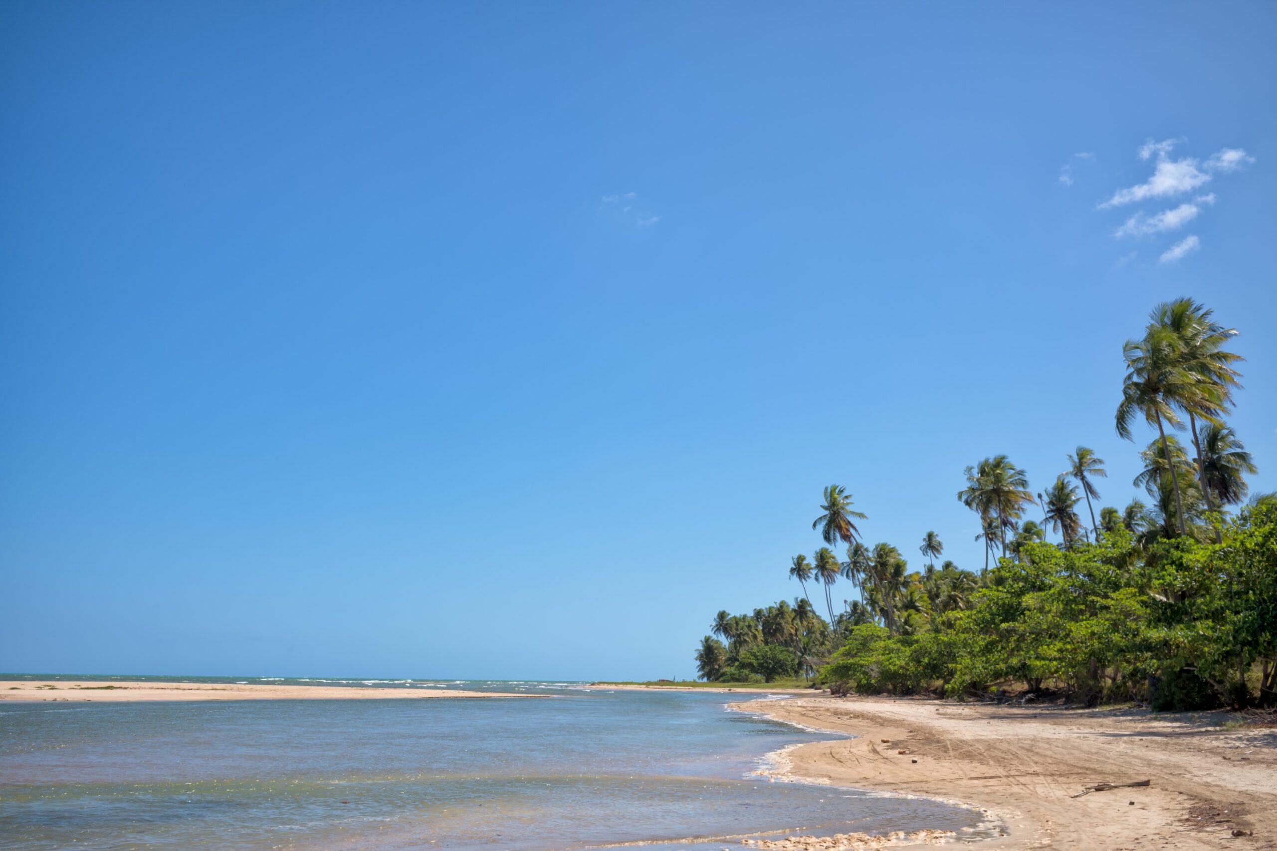 Maragogi: O que fazer à noite? - Explore Maragogi